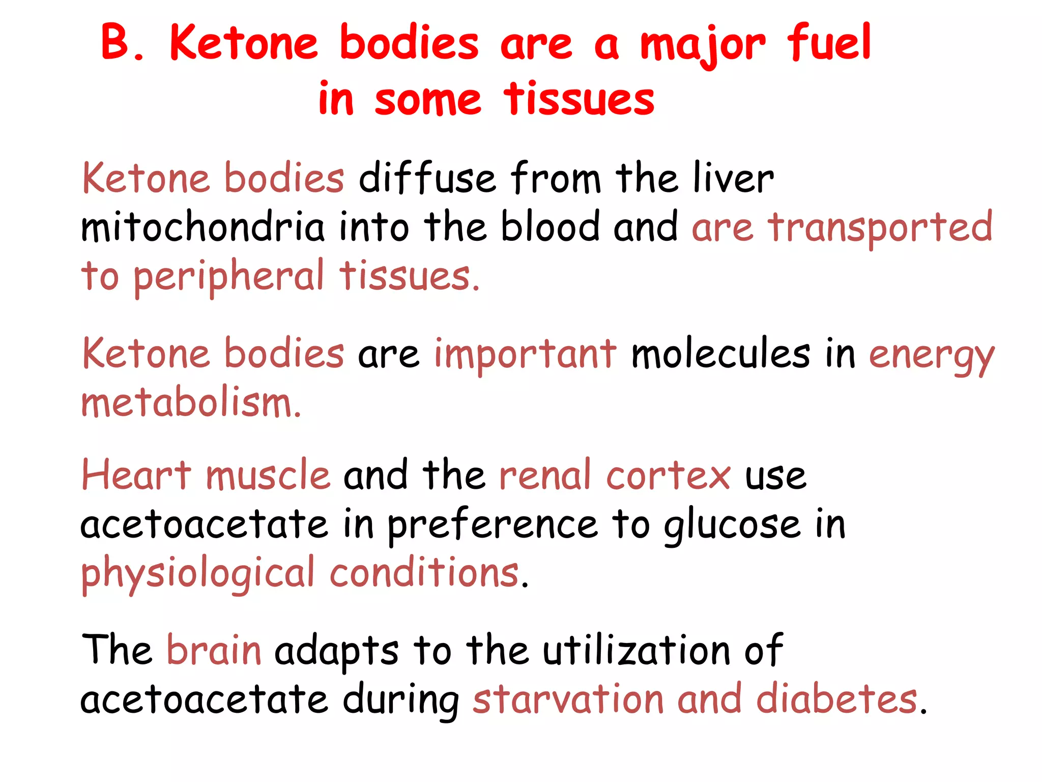 Fat metabolism | PPTX | Endocrine and Metabolic Diseases | Diseases and ...
