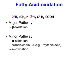 Fat metabolism | PPTX