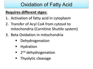 Fat metabolism | PPTX