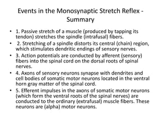 BCM II-Reflex Arc and the reflexes Feb2023.pptx