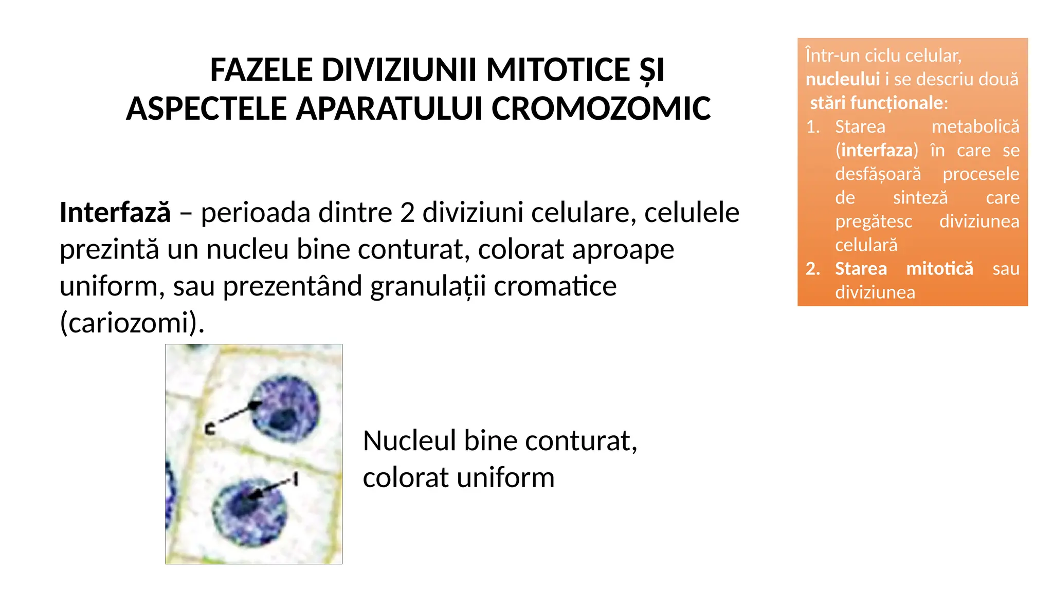 Biologie celulara moleculara-Mitoza.pptx