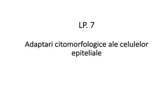Biologie celulara moleculara Adaptari citomorfologice celulelor ...