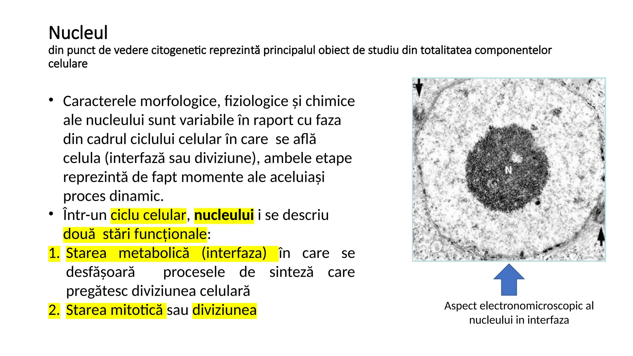 Biologie celulara moleculara-nucleul in interfaza.pptx