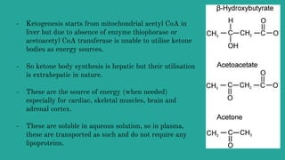 BCM seminar ketogenesis, ketolysis and their regulations.pdf