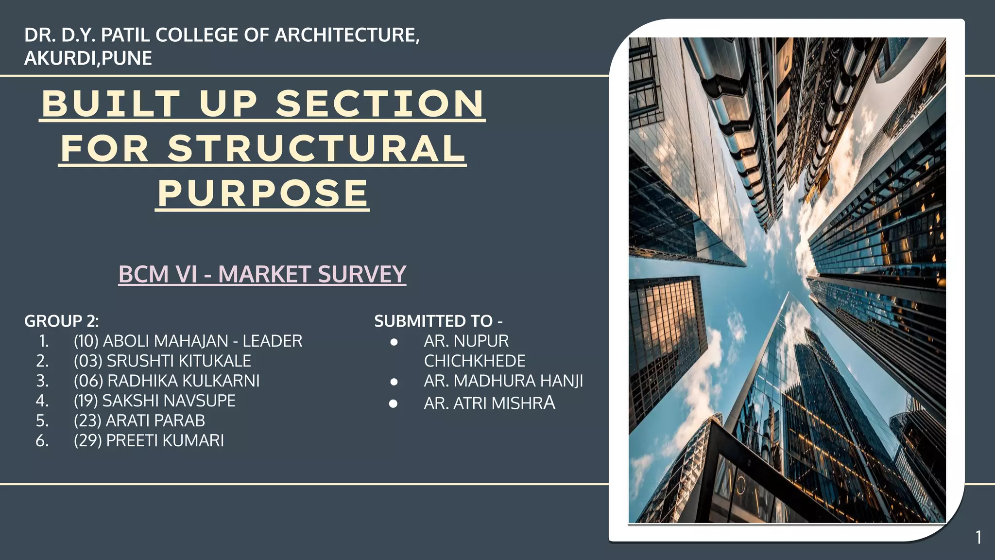 BCM VI Market survey.pdf