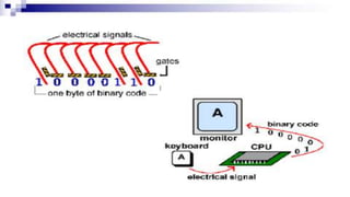 GFGC CHIKKABASUR ( FUNDAMENTALS OF COMPUTERS ) | PPT