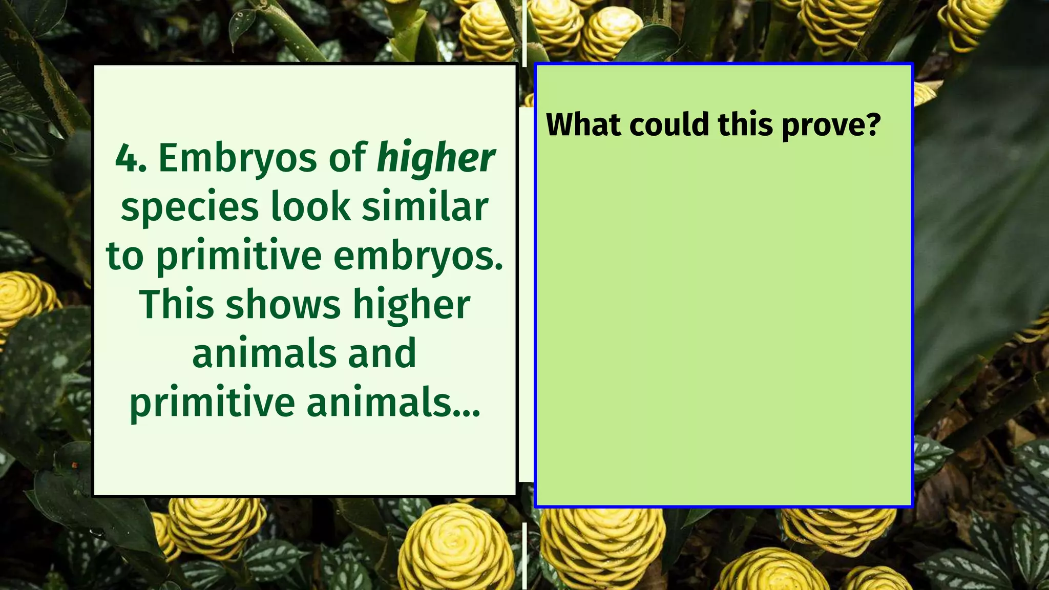 Comparative Embryology introduction | PPTX