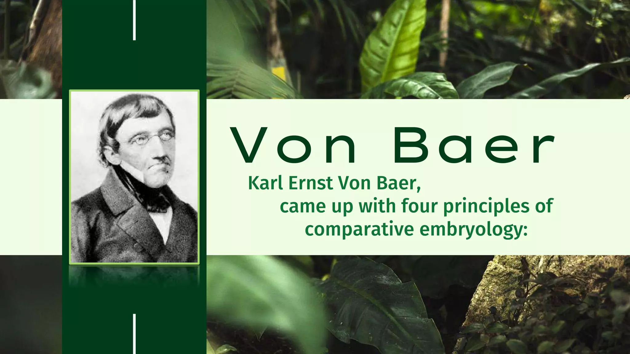 Comparative Embryology introduction | PPTX