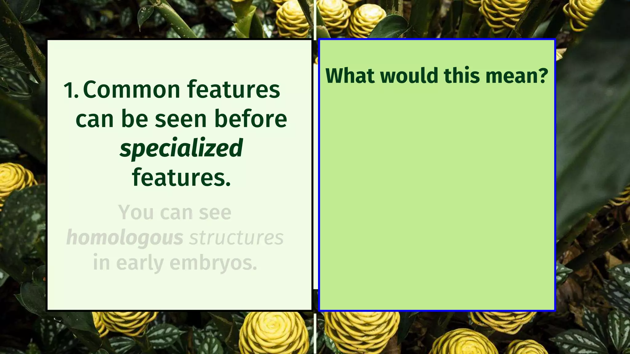 Comparative Embryology introduction | PPTX