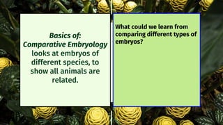 Comparative Embryology introduction | PPTX | Biological Sciences | Science