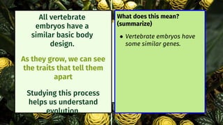 Comparative Embryology introduction | PPTX | Biological Sciences | Science