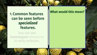 Comparative Embryology introduction | PPTX