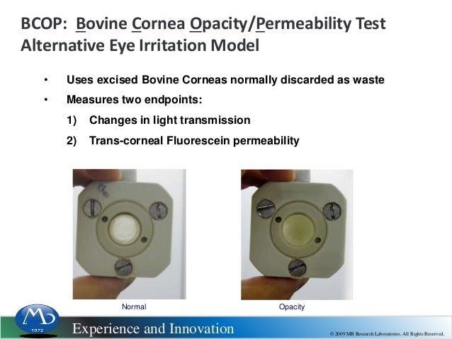 BCOP Basic-Background-Methods