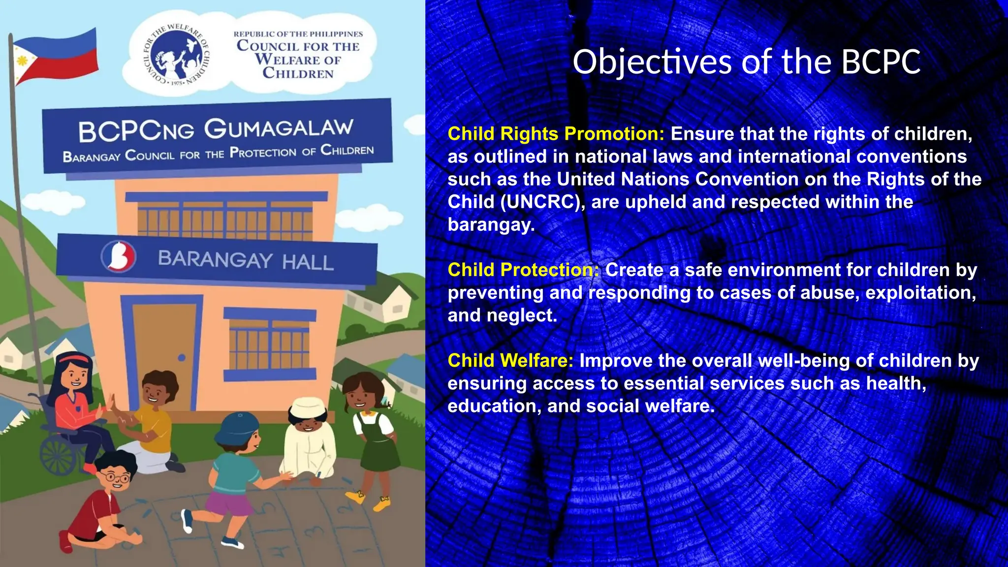 BCPC PRESNETATION FOR STAKEHOLDERS and other users | PPT