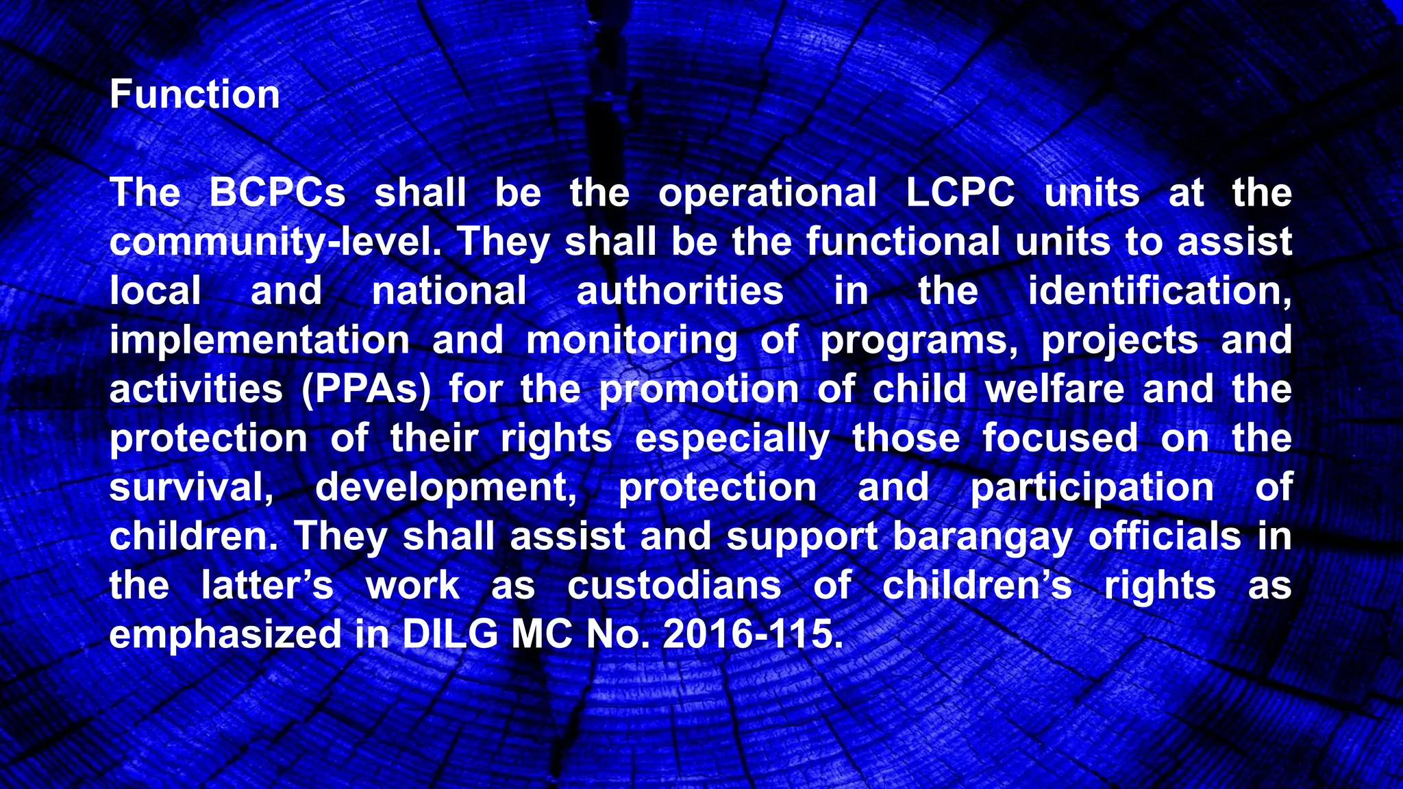 BCPC PRESNETATION FOR STAKEHOLDERS and other users | PPTX