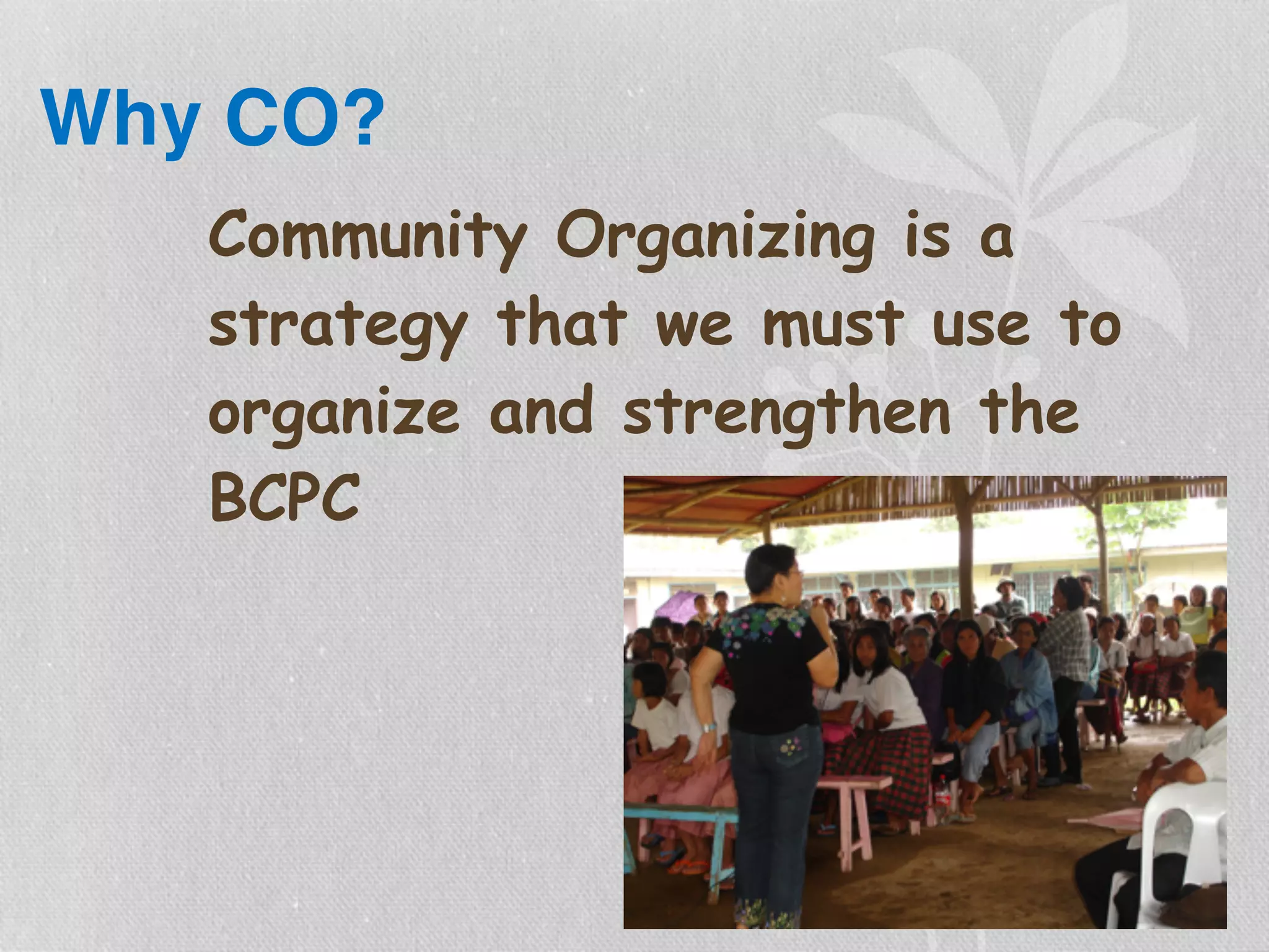 BCPC organizing using the CO process | PDF