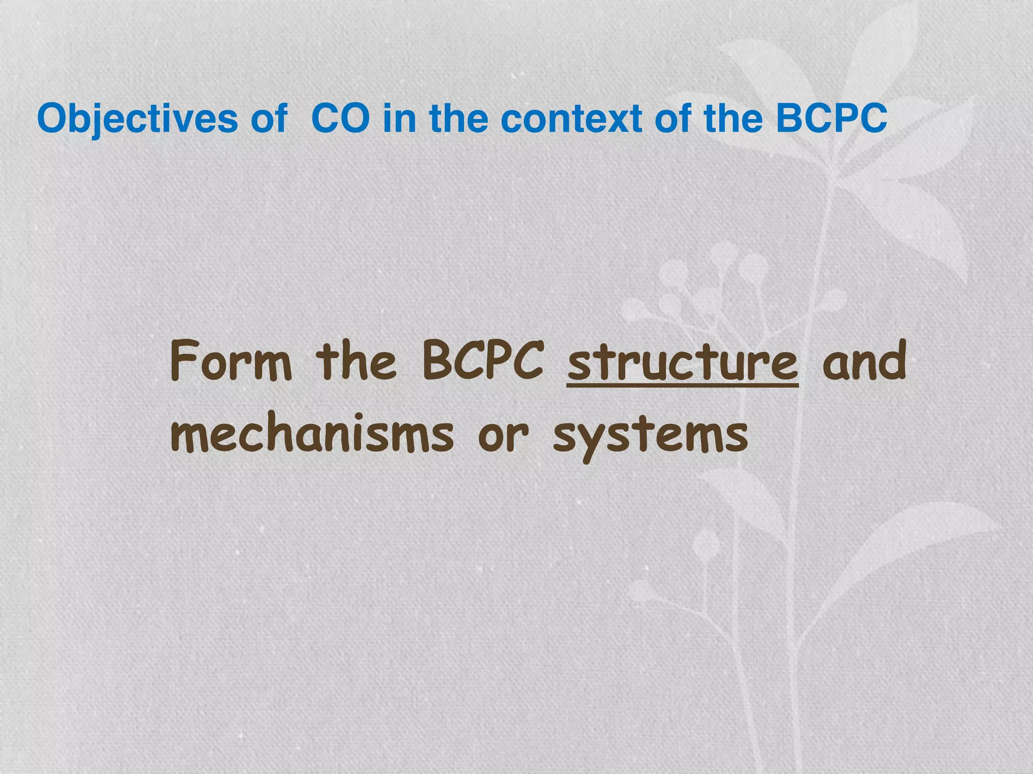 BCPC organizing using the CO process | PDF