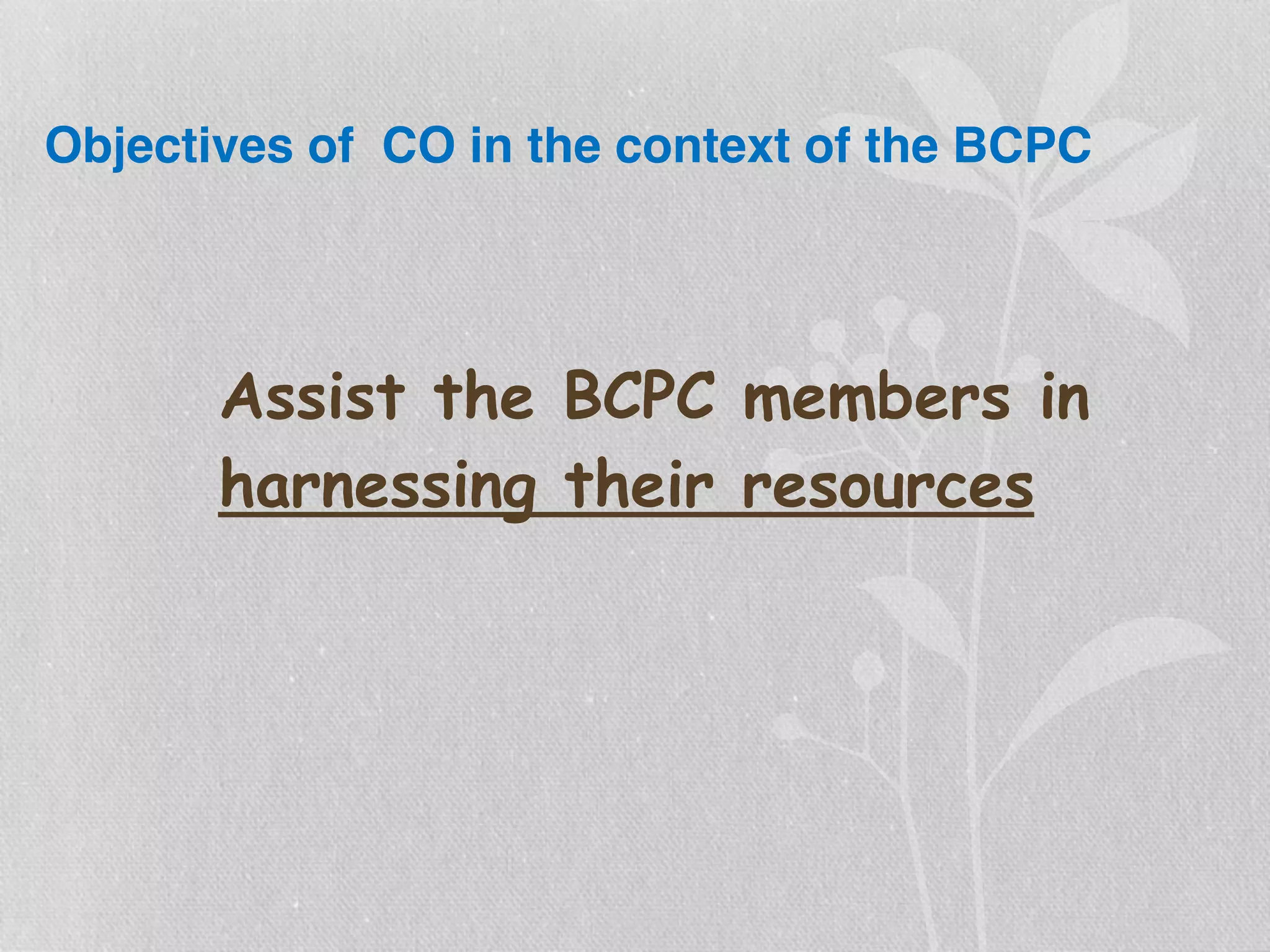 BCPC organizing using the CO process | PDF