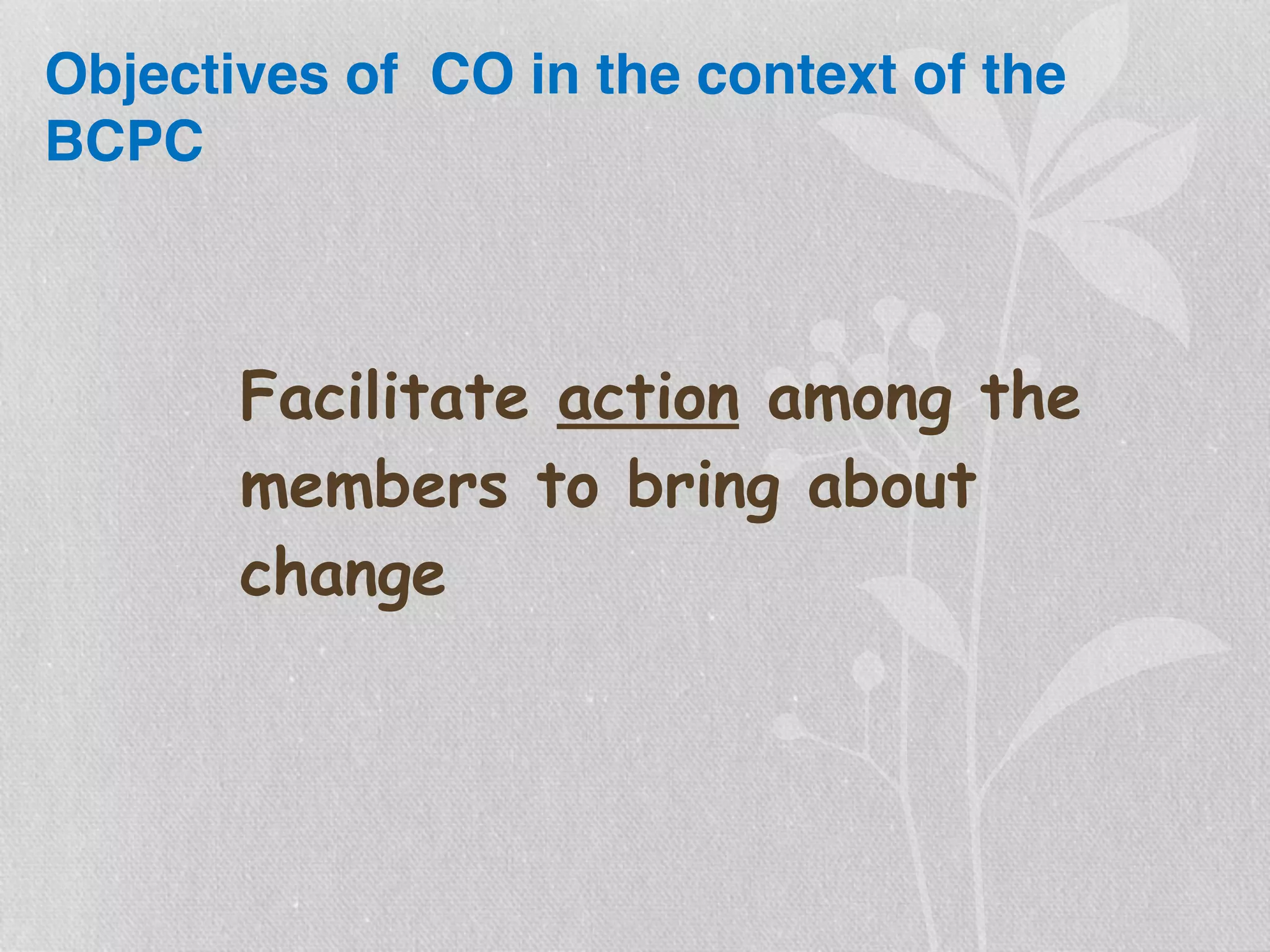 BCPC organizing using the CO process | PDF