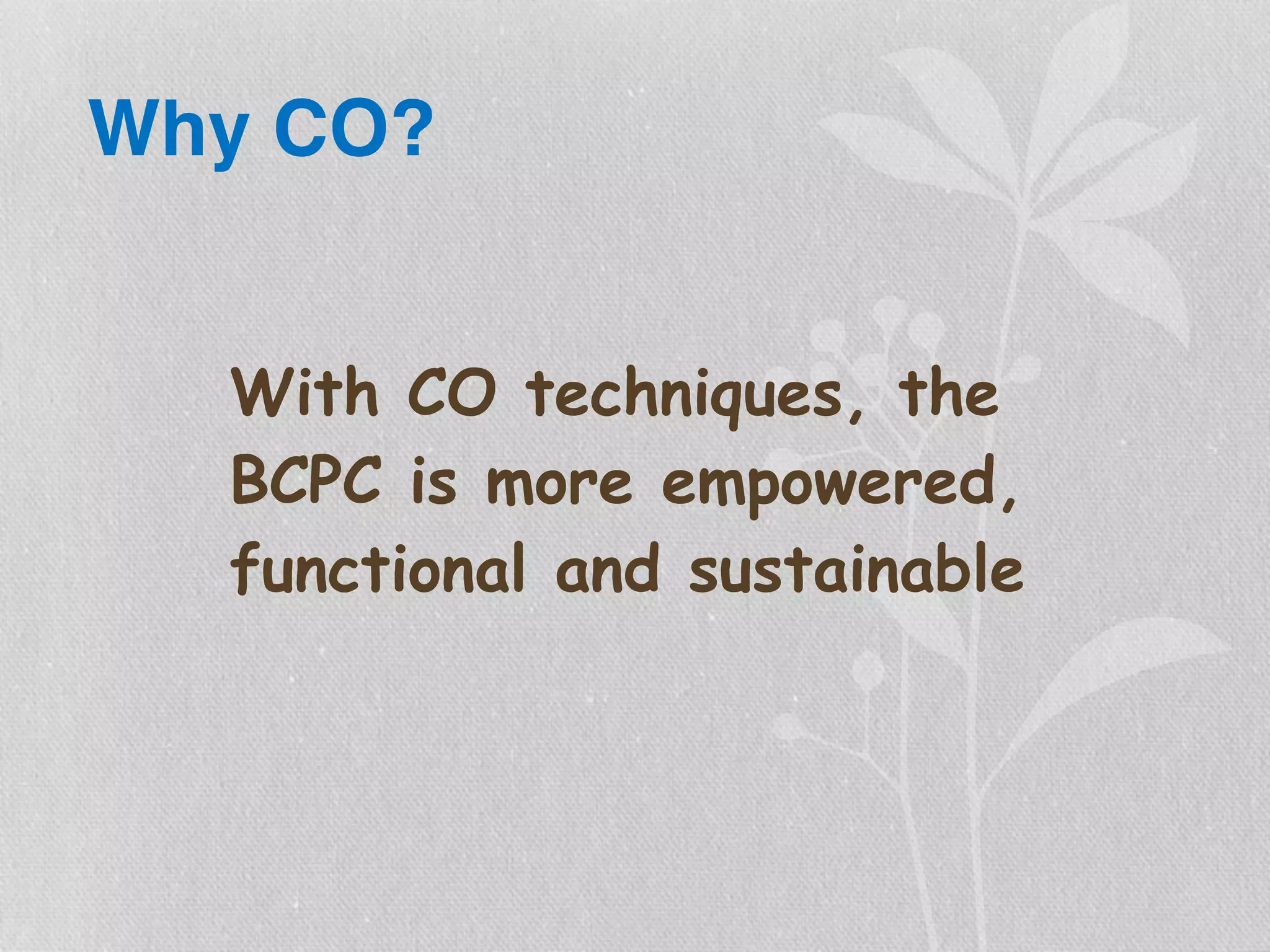 BCPC organizing using the CO process | PDF
