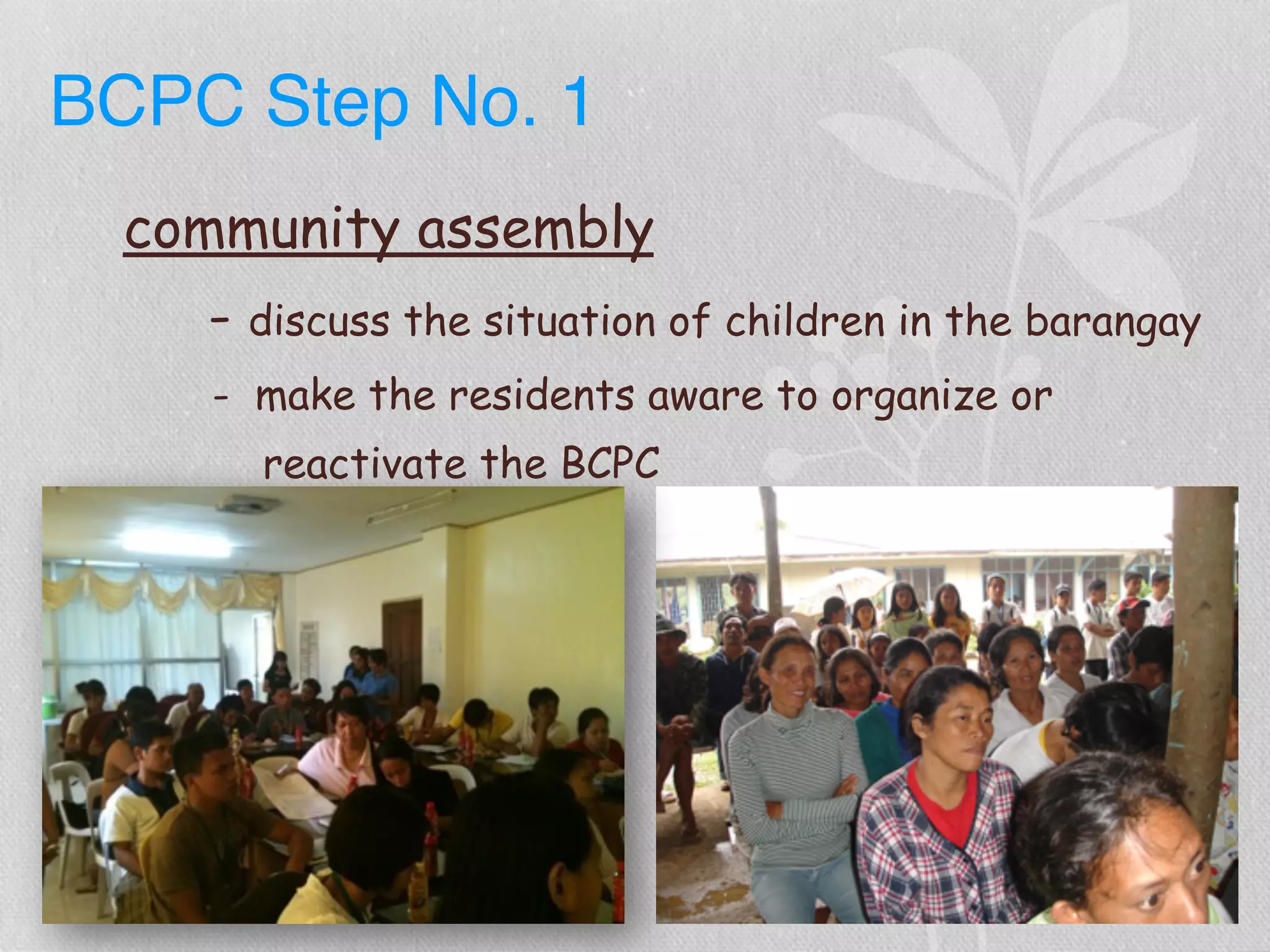 BCPC organizing using the CO process | PDF