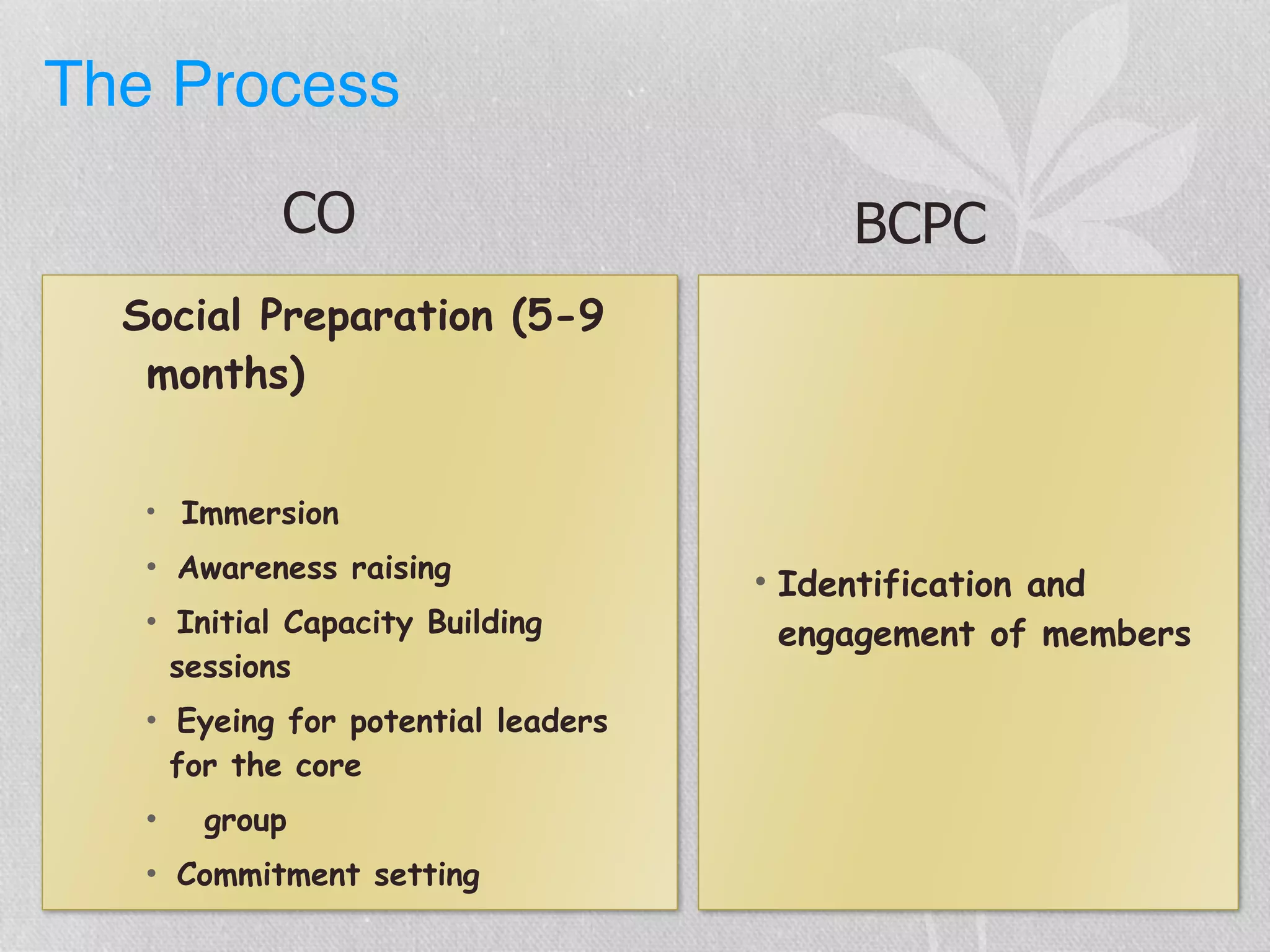 BCPC organizing using the CO process | PDF
