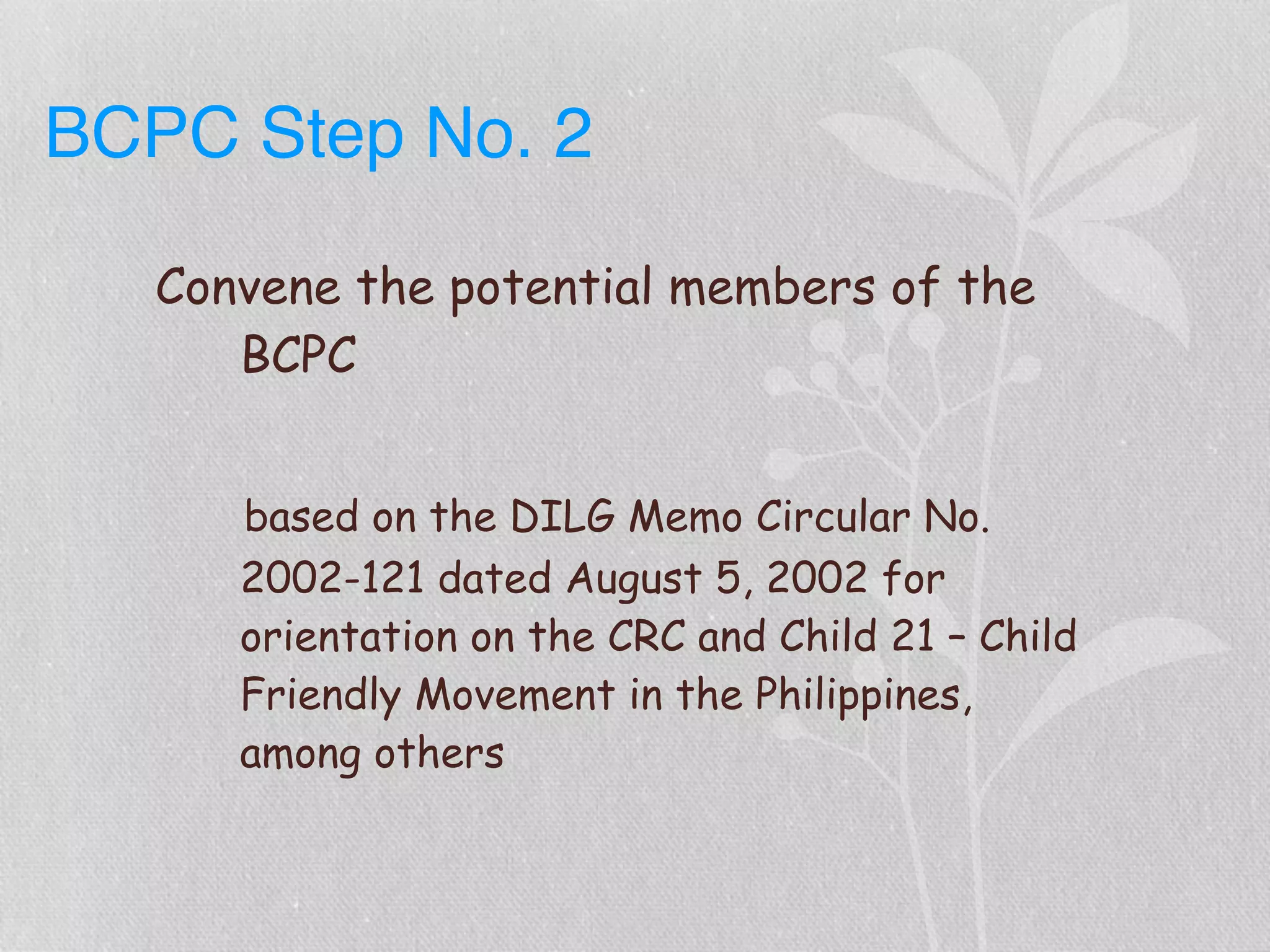 BCPC organizing using the CO process | PDF