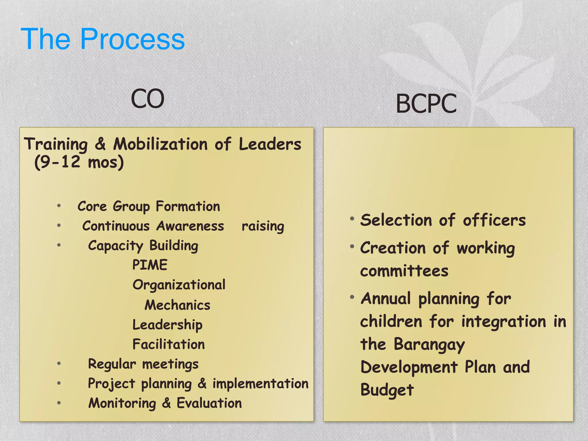 BCPC organizing using the CO process | PDF
