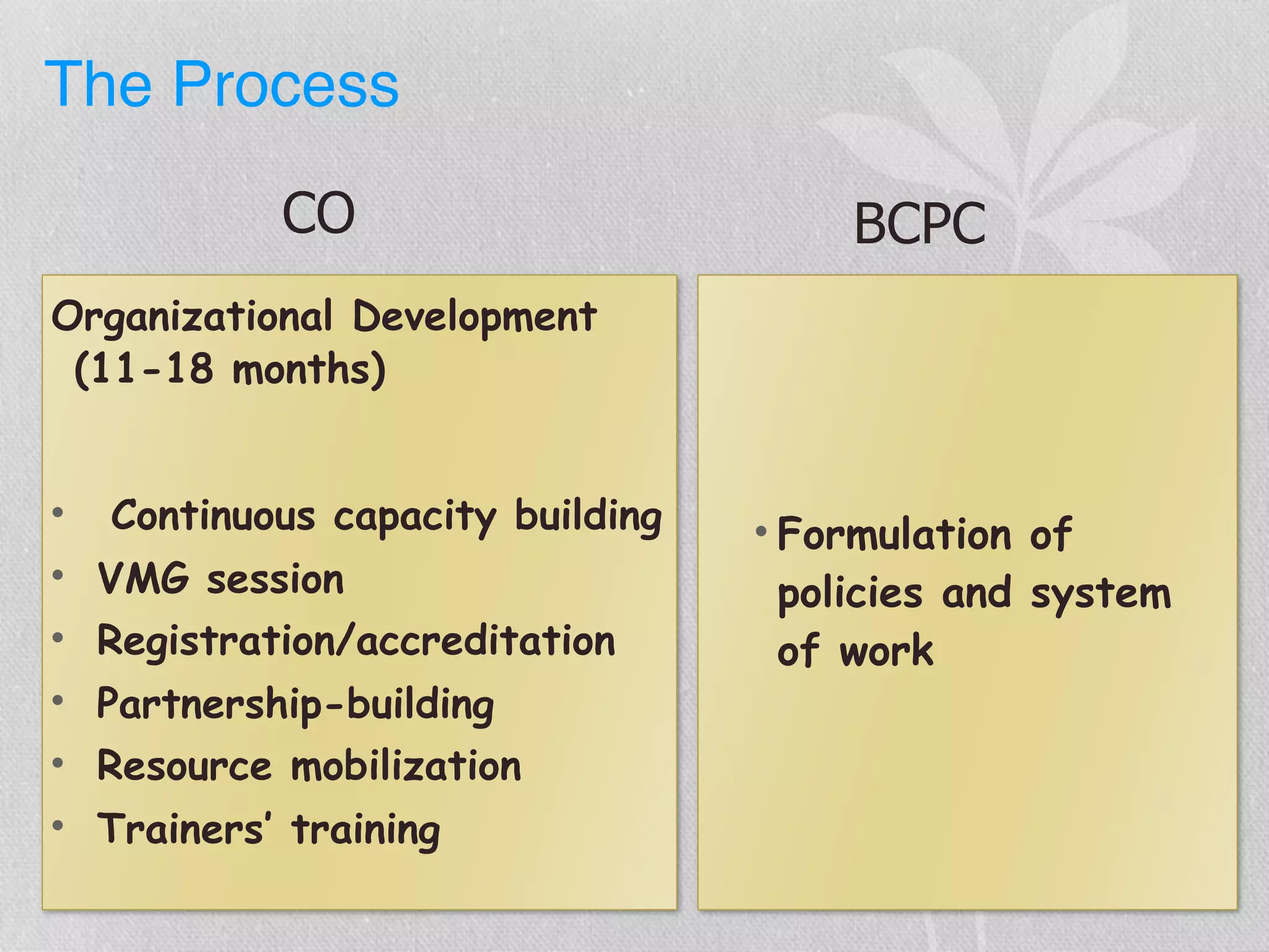 BCPC organizing using the CO process | PDF