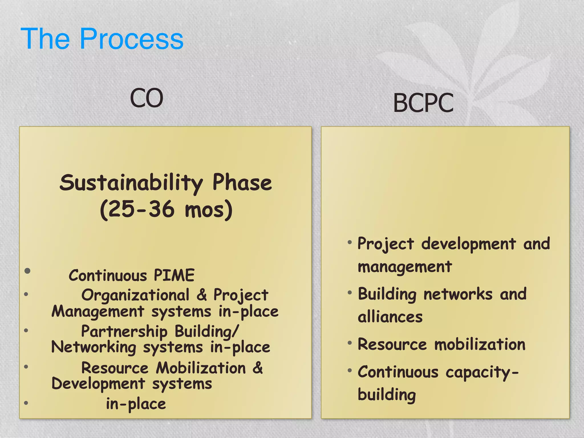 BCPC organizing using the CO process | PDF
