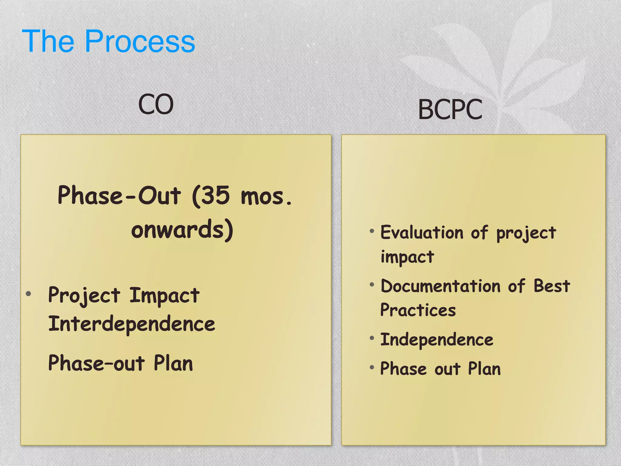 BCPC organizing using the CO process | PDF