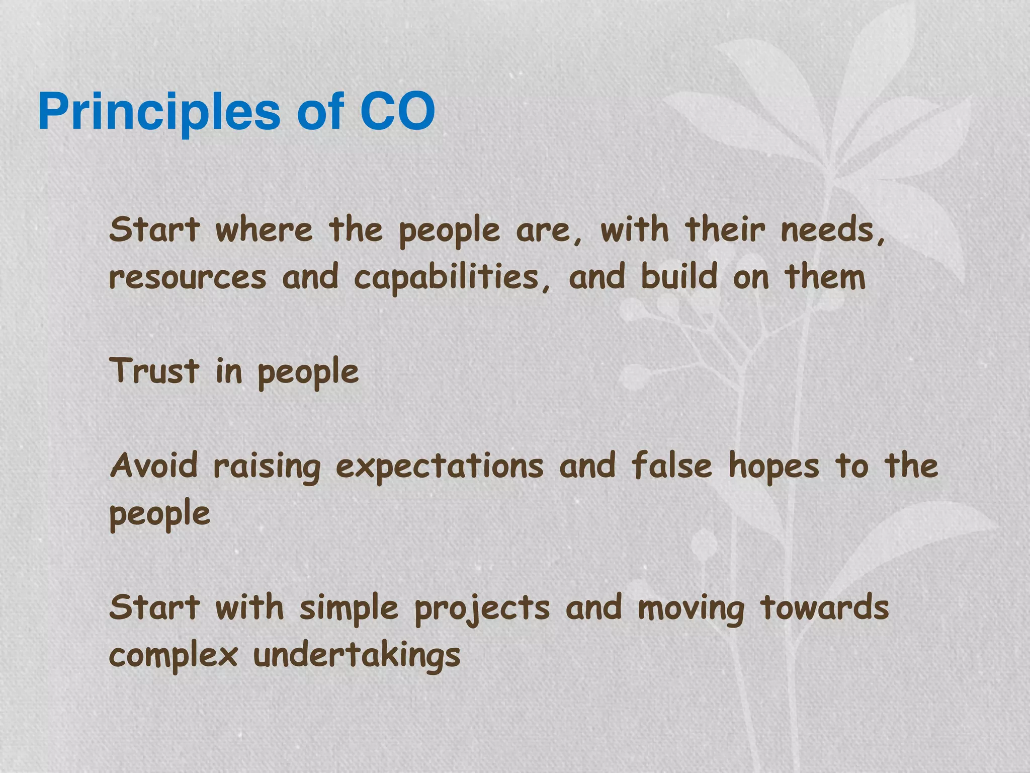 BCPC organizing using the CO process | PDF