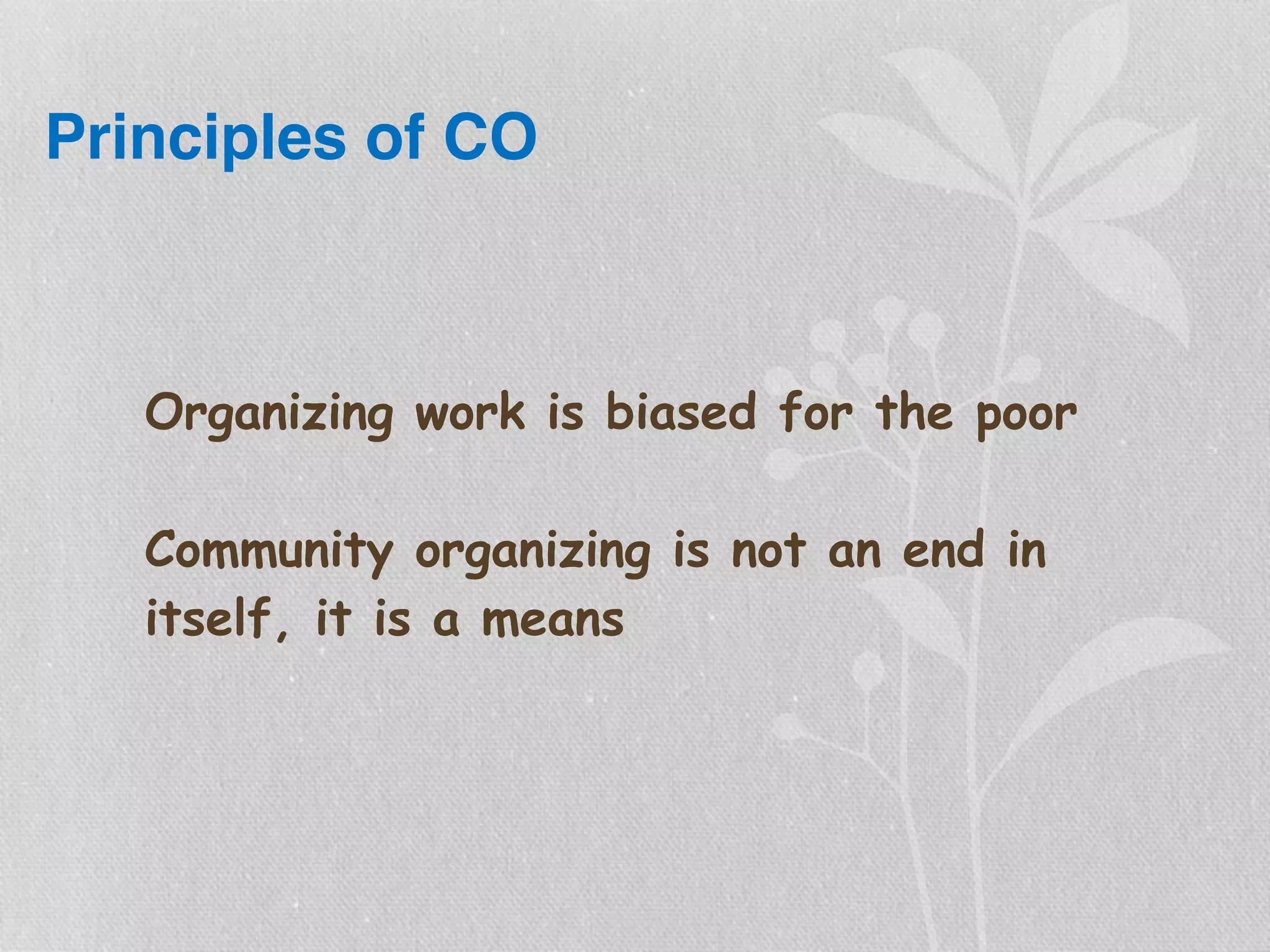 BCPC organizing using the CO process | PDF