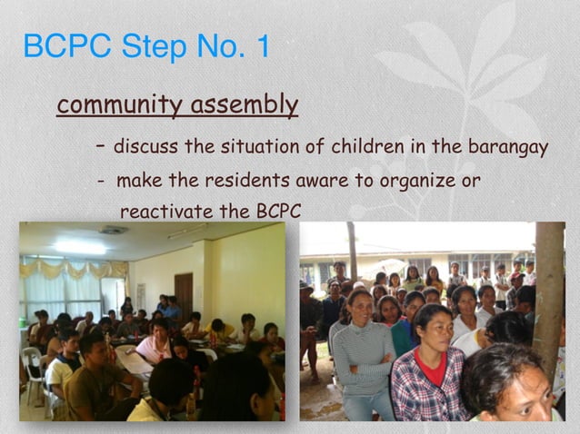 BCPC organizing using the CO process | PDF