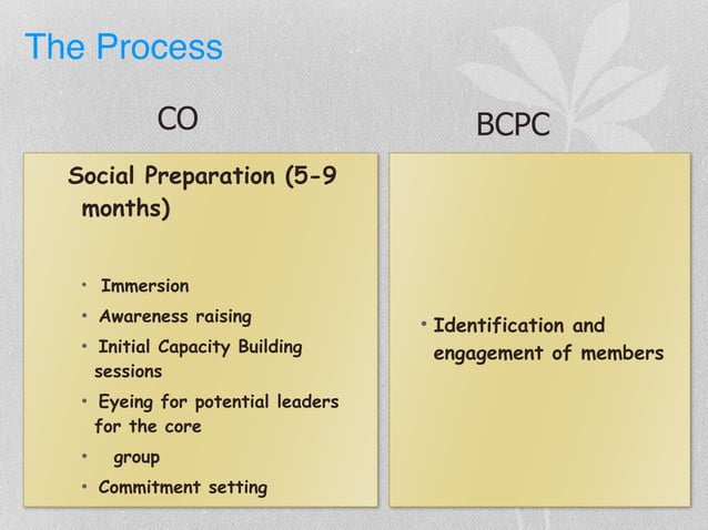 BCPC organizing using the CO process | PDF