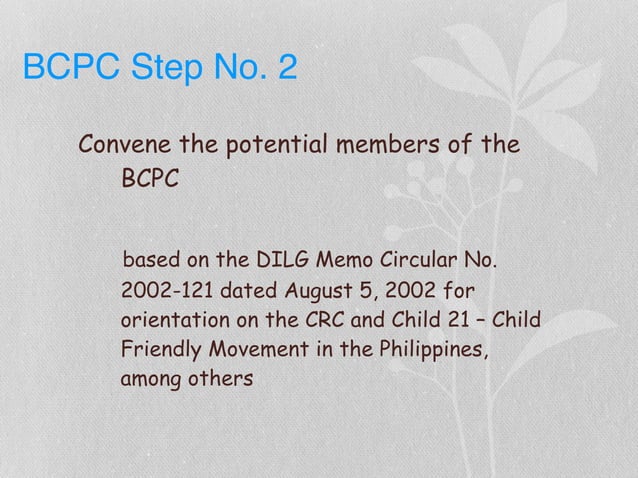 BCPC organizing using the CO process | PDF