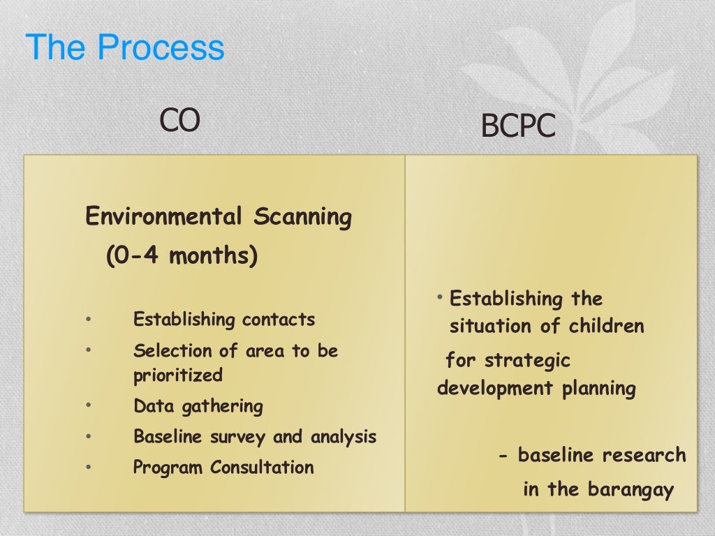 BCPC organizing using the CO process