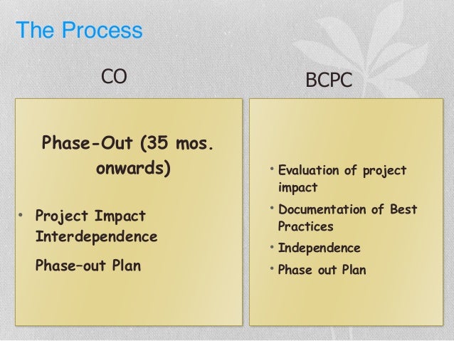 BCPC organizing using the CO process