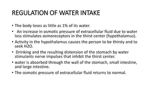 Metabolism and water balance in the body | PPTX