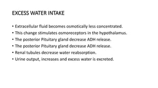 Metabolism and water balance in the body | PPTX