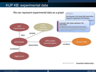 Kidney and Urinary Pathways Knowledge Base (part of e-LICO) | PPT