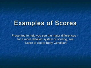 Beginner's Guide to Body Condition Scoring | PPT
