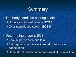Beginner's Guide to Body Condition Scoring | PPT