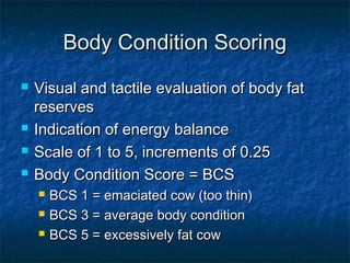 Beginner's Guide to Body Condition Scoring | PPT