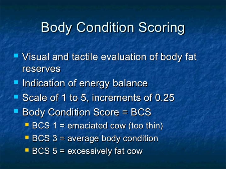Beginner's Guide to Body Condition Scoring