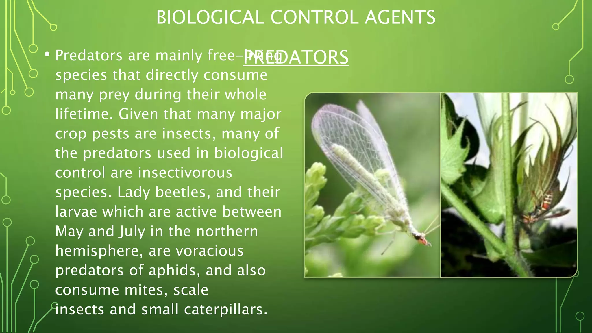 Biological Pest Control/ Biological Control System | PPTX