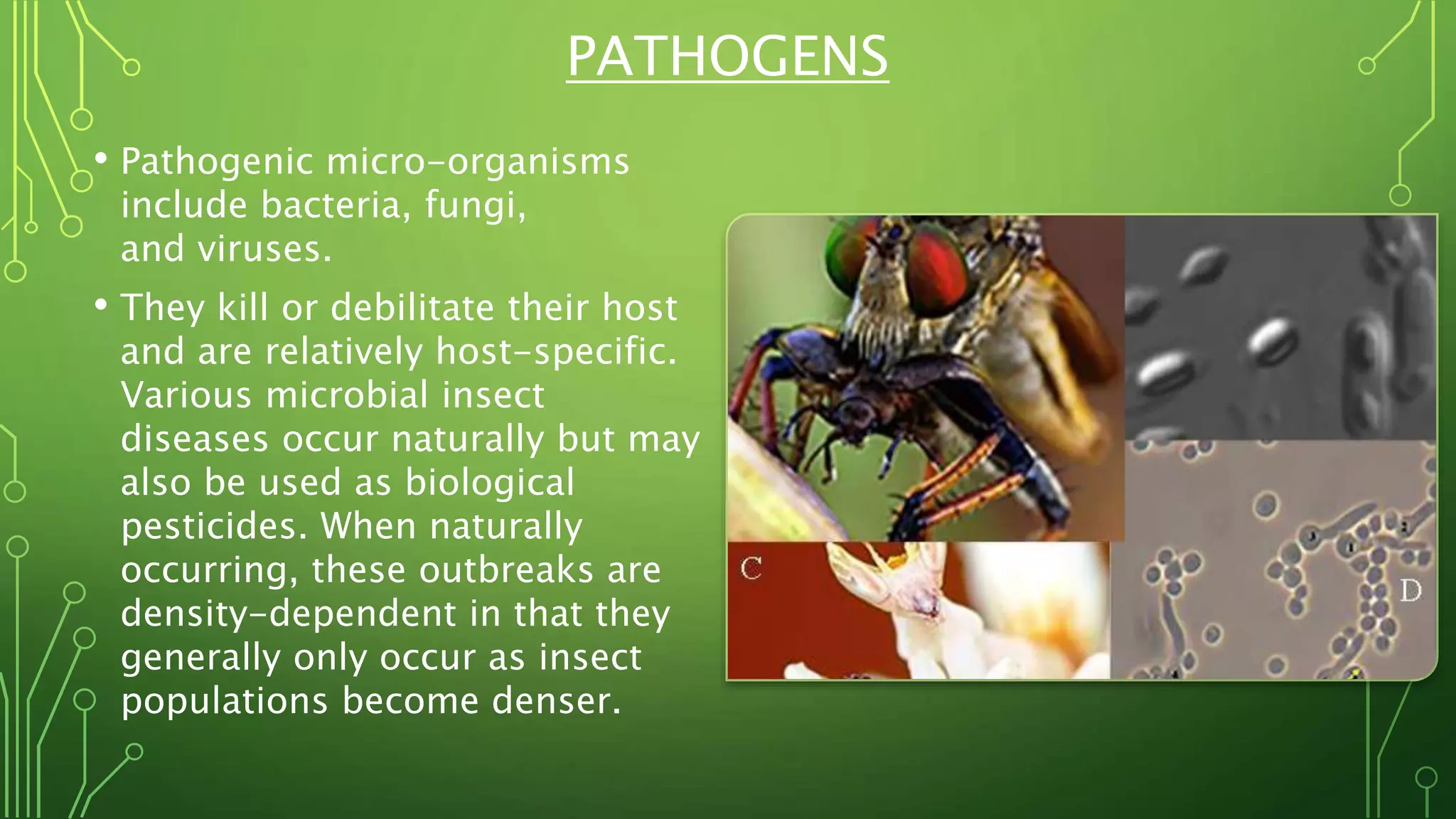 Biological Pest Control/ Biological Control System | PPTX