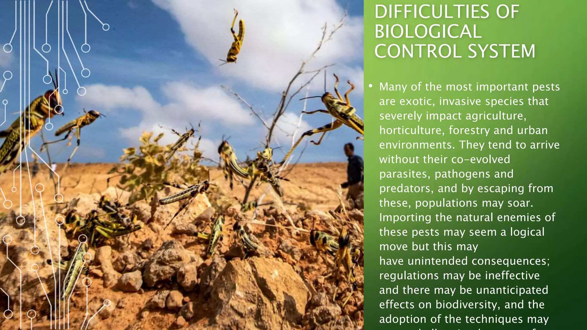 Biological Pest Control/ Biological Control System | PPTX