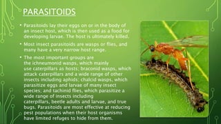 Biological Pest Control/ Biological Control System | PPTX