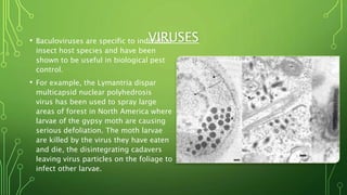 Biological Pest Control/ Biological Control System | PPTX